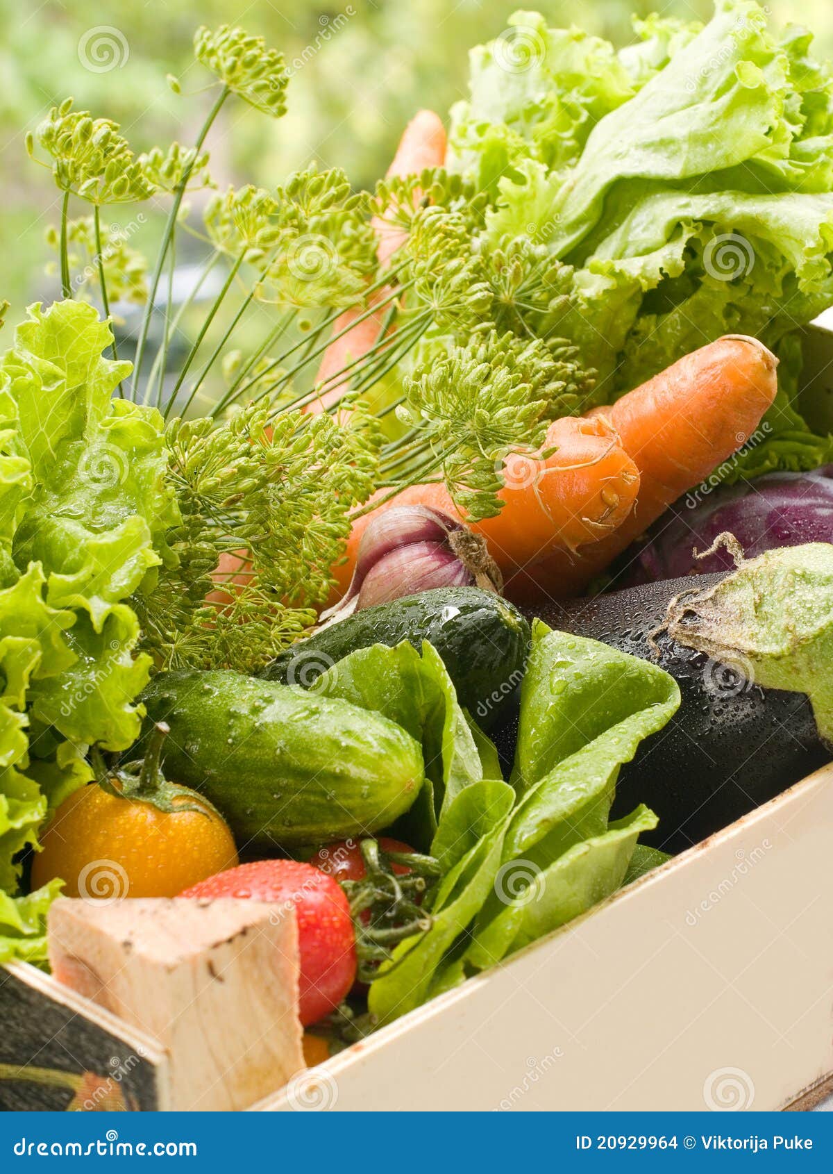 Vegetables stock photo. Image of season, vegetarian, food - 20929964