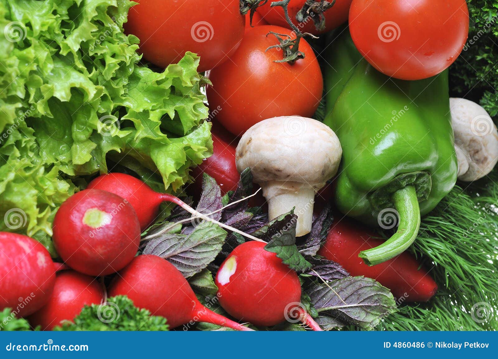 Vegetables stock photo. Image of nutritious, tomatoes - 4860486