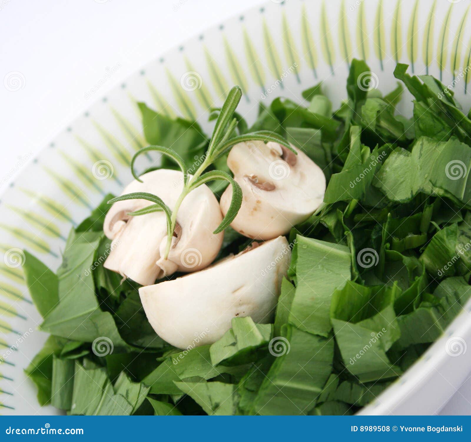 Vegetables stock photo. Image of ramson, mushrooms, vitamins - 8989508