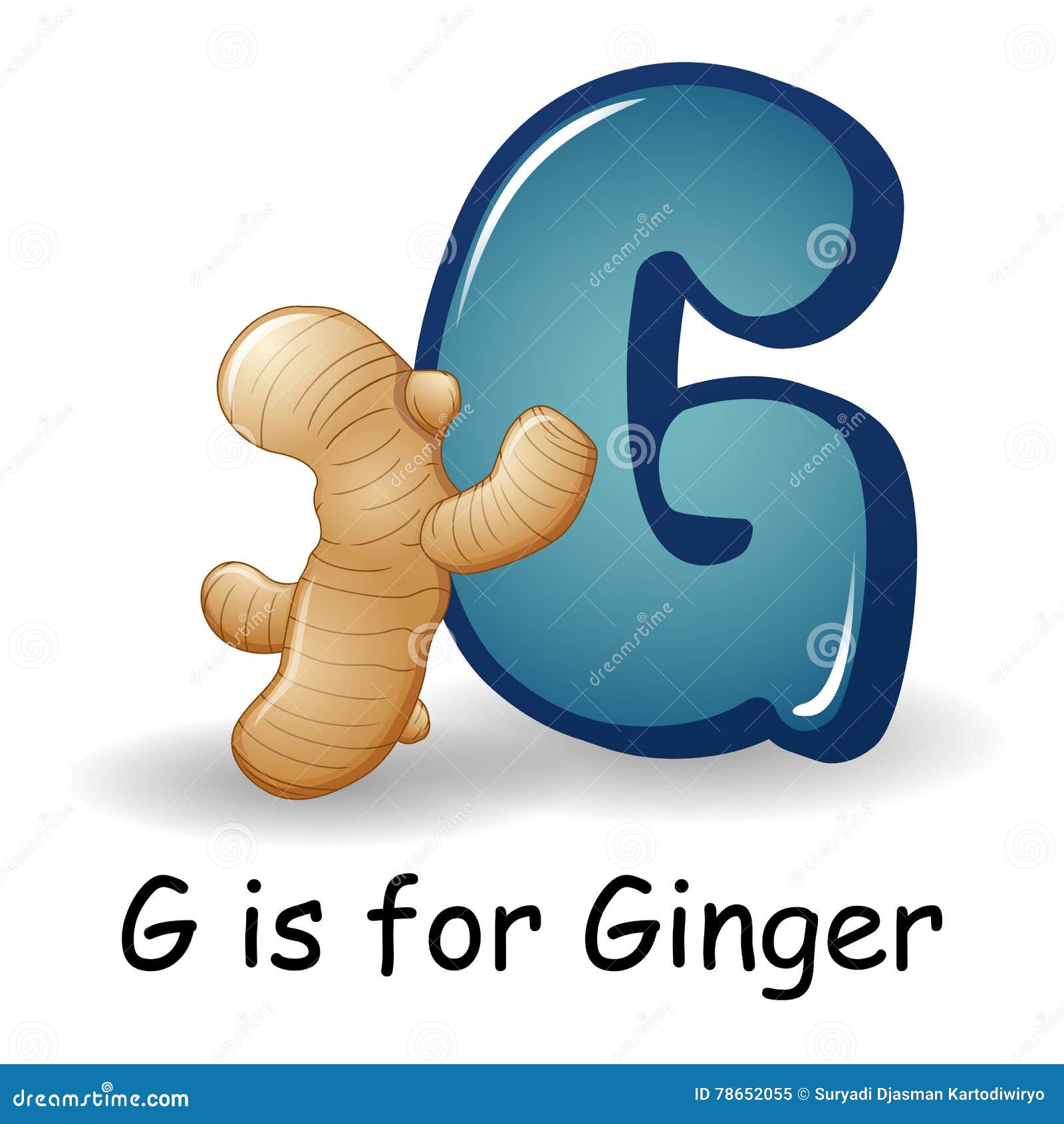 Alphabet Ginger Cookie Isolated On White Vector Illustration ...