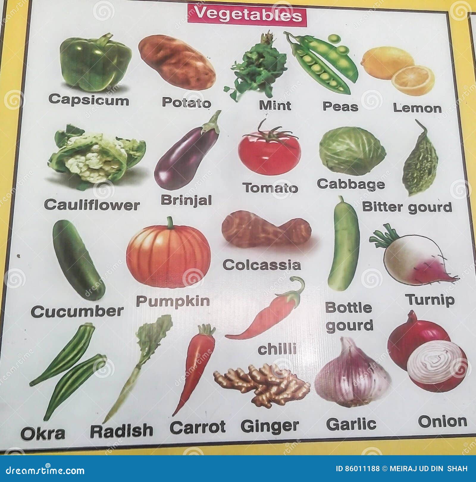 Vegetables stock photo. Image of animals, parts, black - 86011188