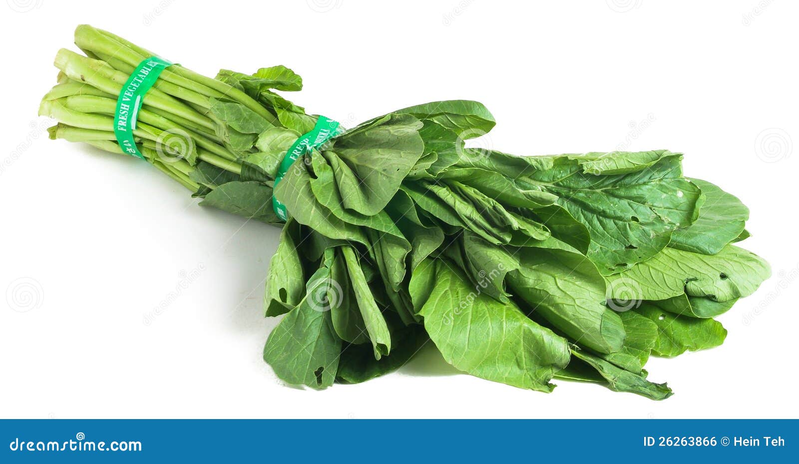 Vegetables. Asian Vegetables on the Background Stock Photo - Image of ...