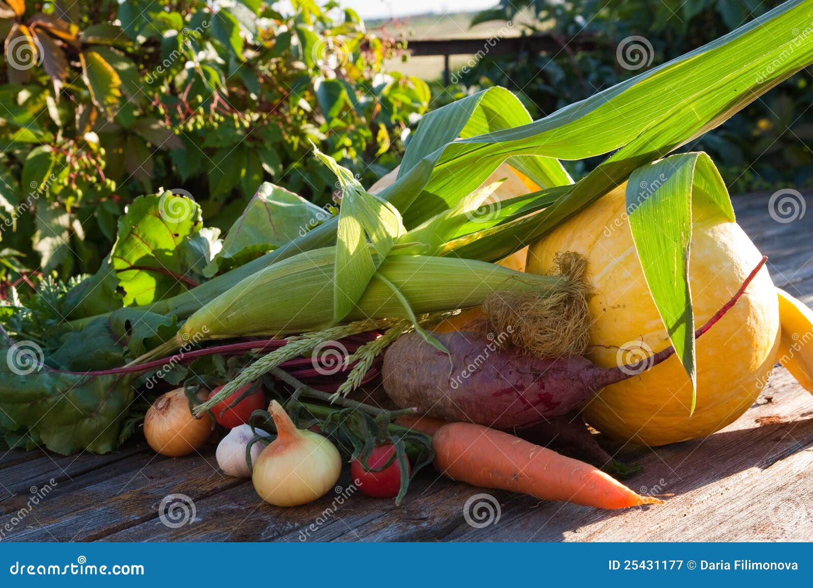 Vegetables in autumn stock image. Image of face, carrot - 25431177