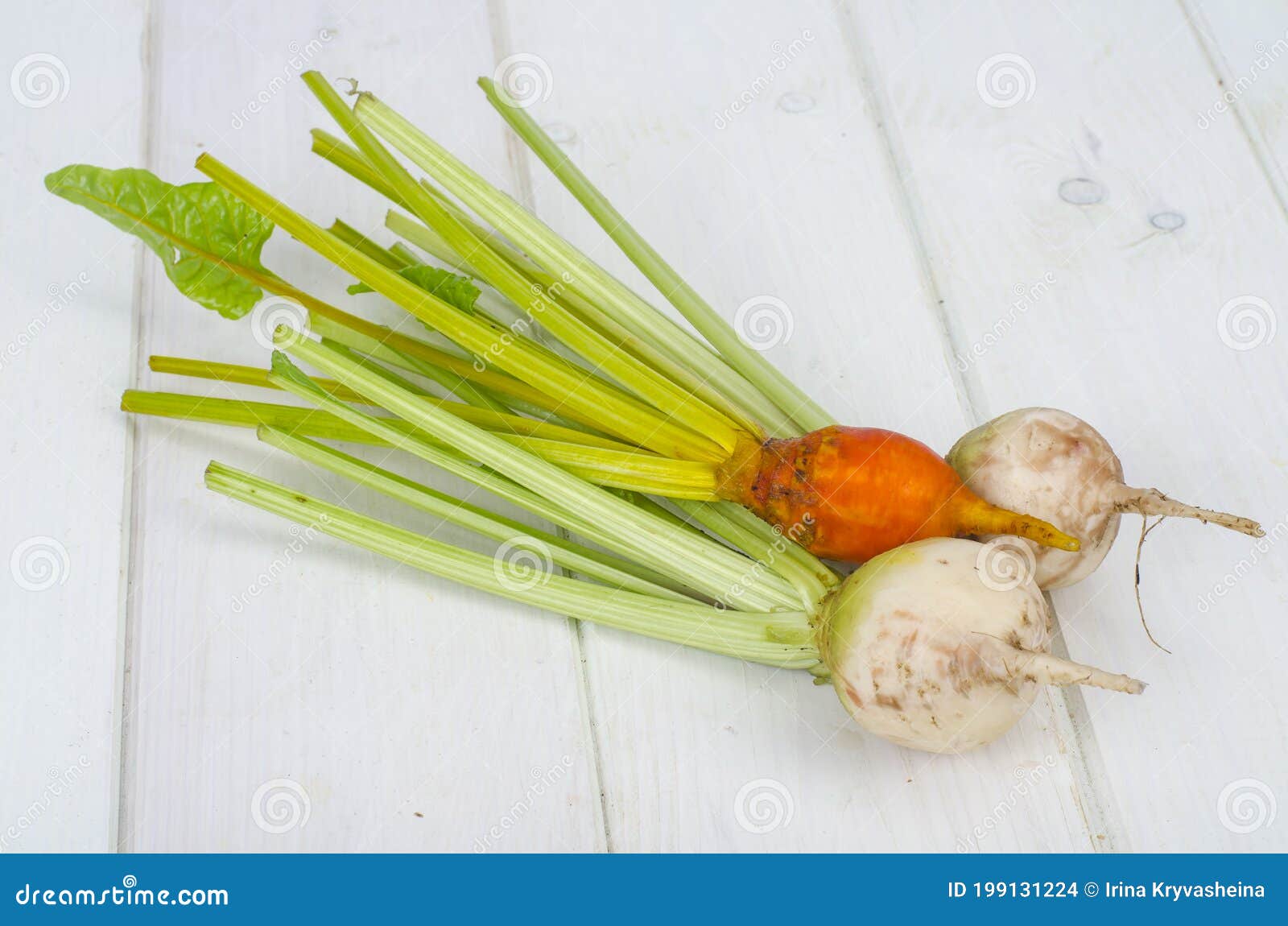 Vegetables, Beets of Different Colors Stock Photo - Image of harvest ...
