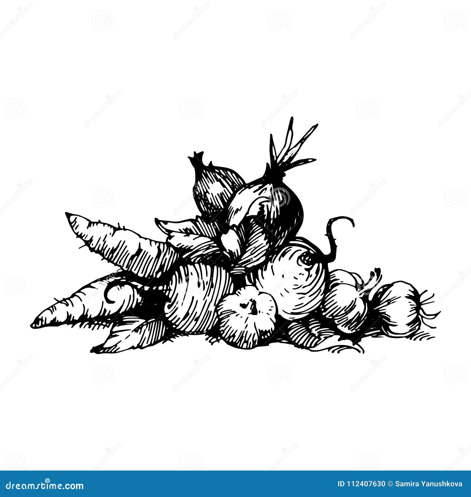 Vegetables Black Ink Drawing Illustration. Stock Vector - Illustration ...