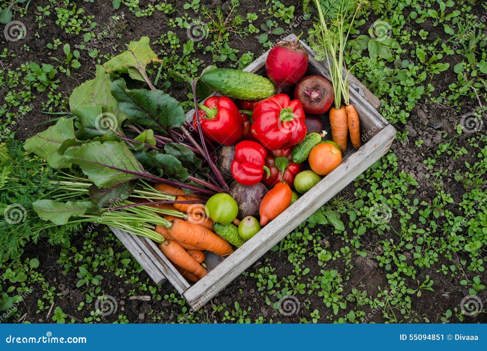 Vegetables in a box stock image. Image of outdoors, ecology - 55094851