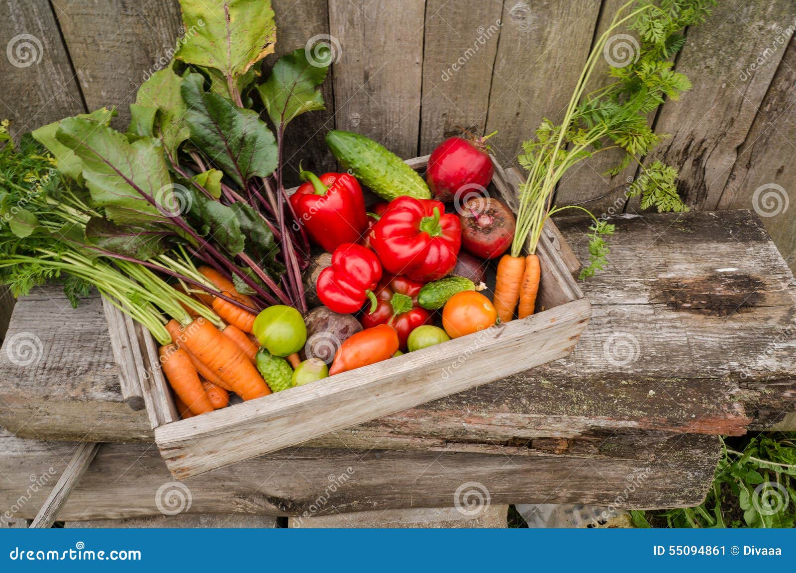 Vegetables in a box stock image. Image of carrot, harvesting - 55094861