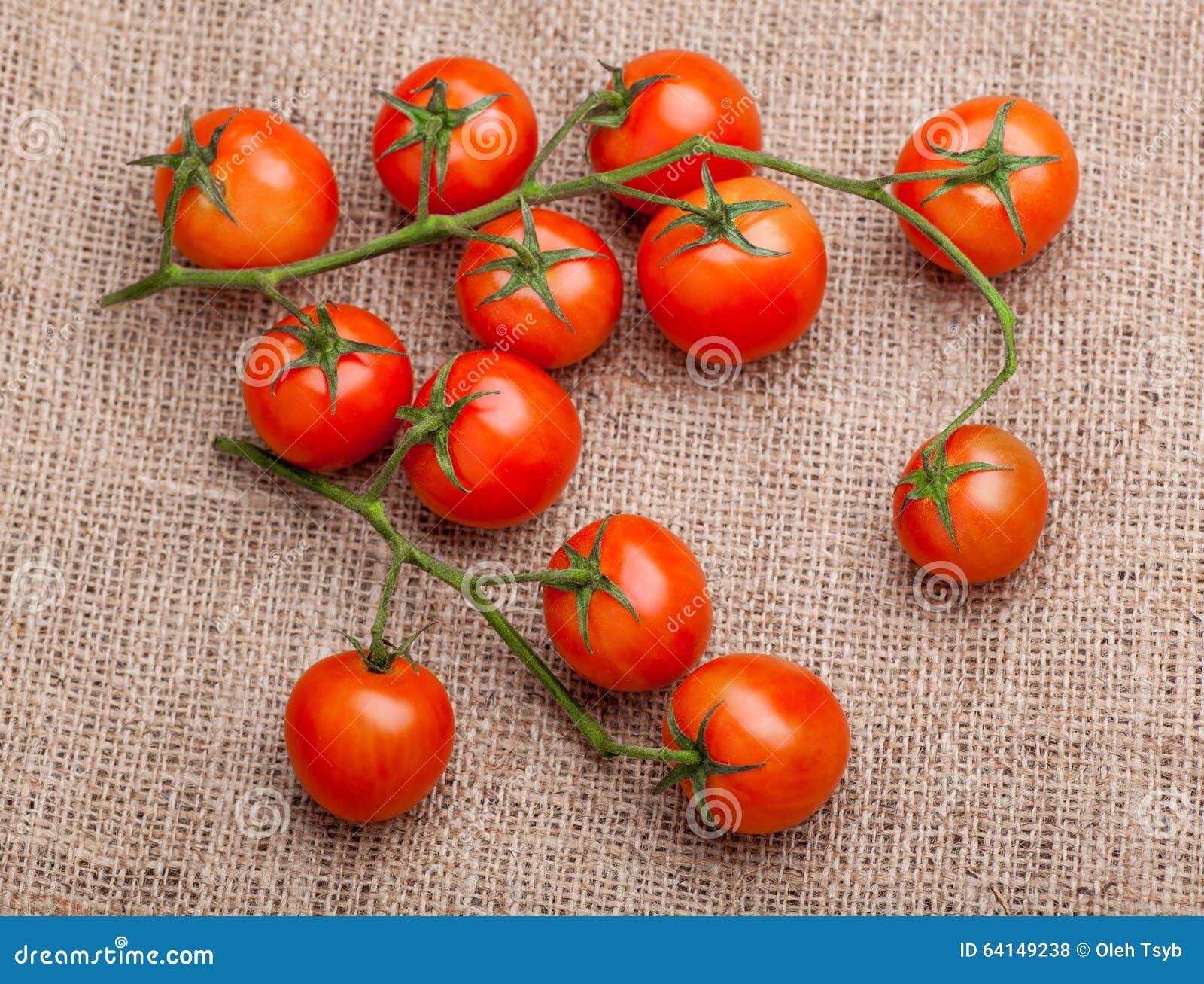 Vegetables Bunch of Fresh Tomatoes on Sacking Stock Photo - Image of ...