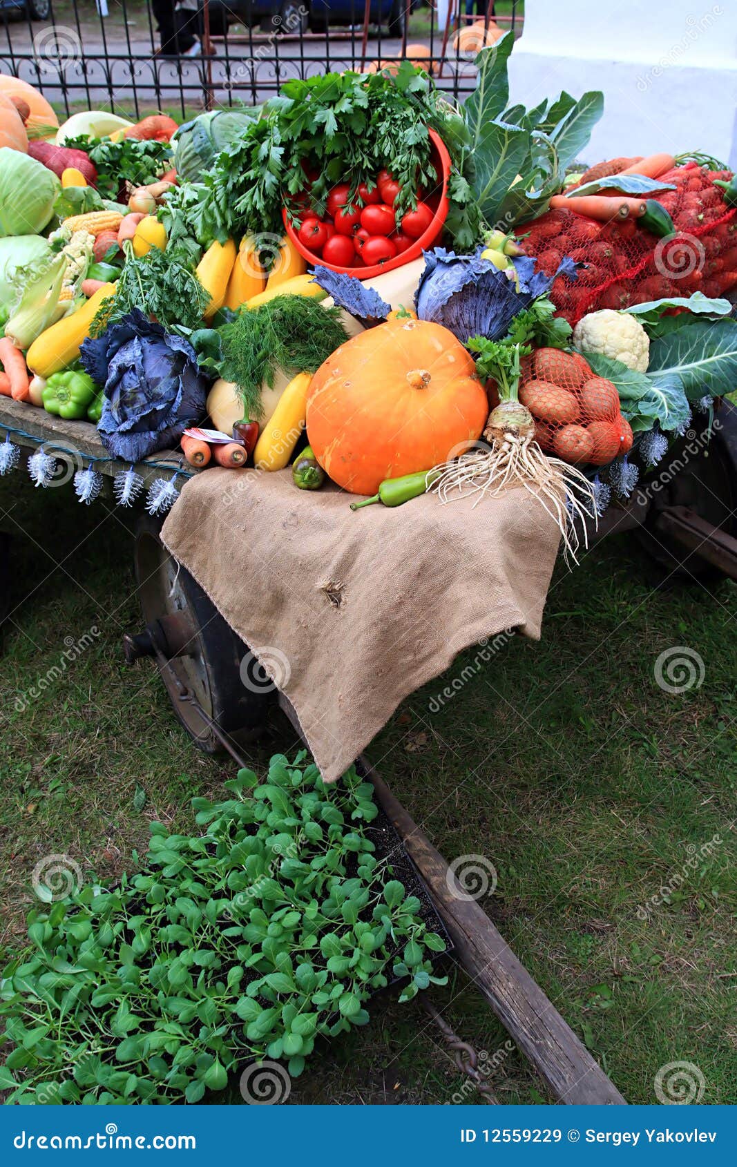 Vegetables on cart stock image. Image of market, full - 12559229