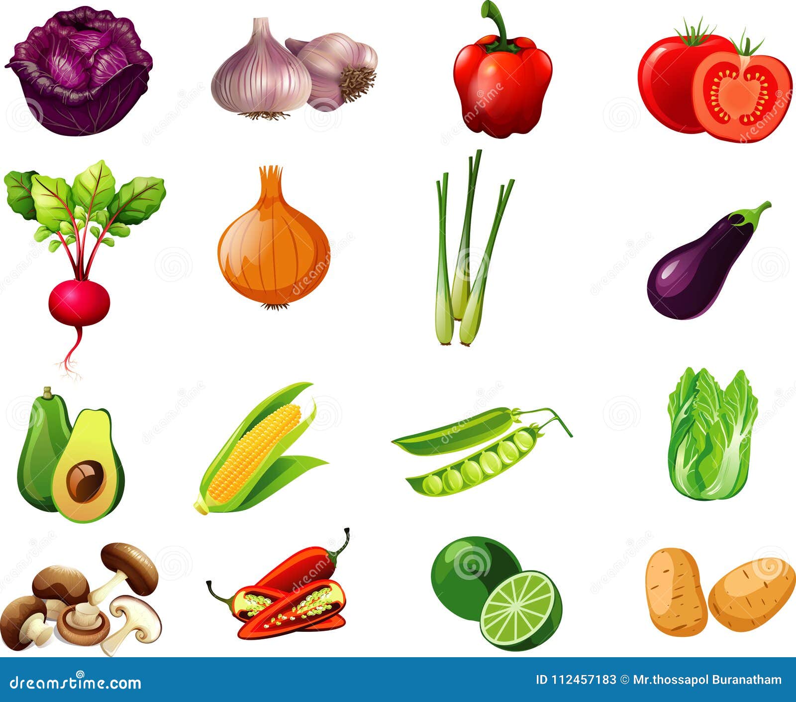 Napa Cartoon Character Stock Image | CartoonDealer.com #150232801