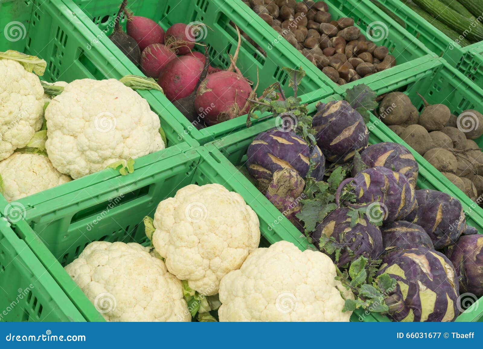 Vegetables in cases stock image. Image of market, group - 66031677
