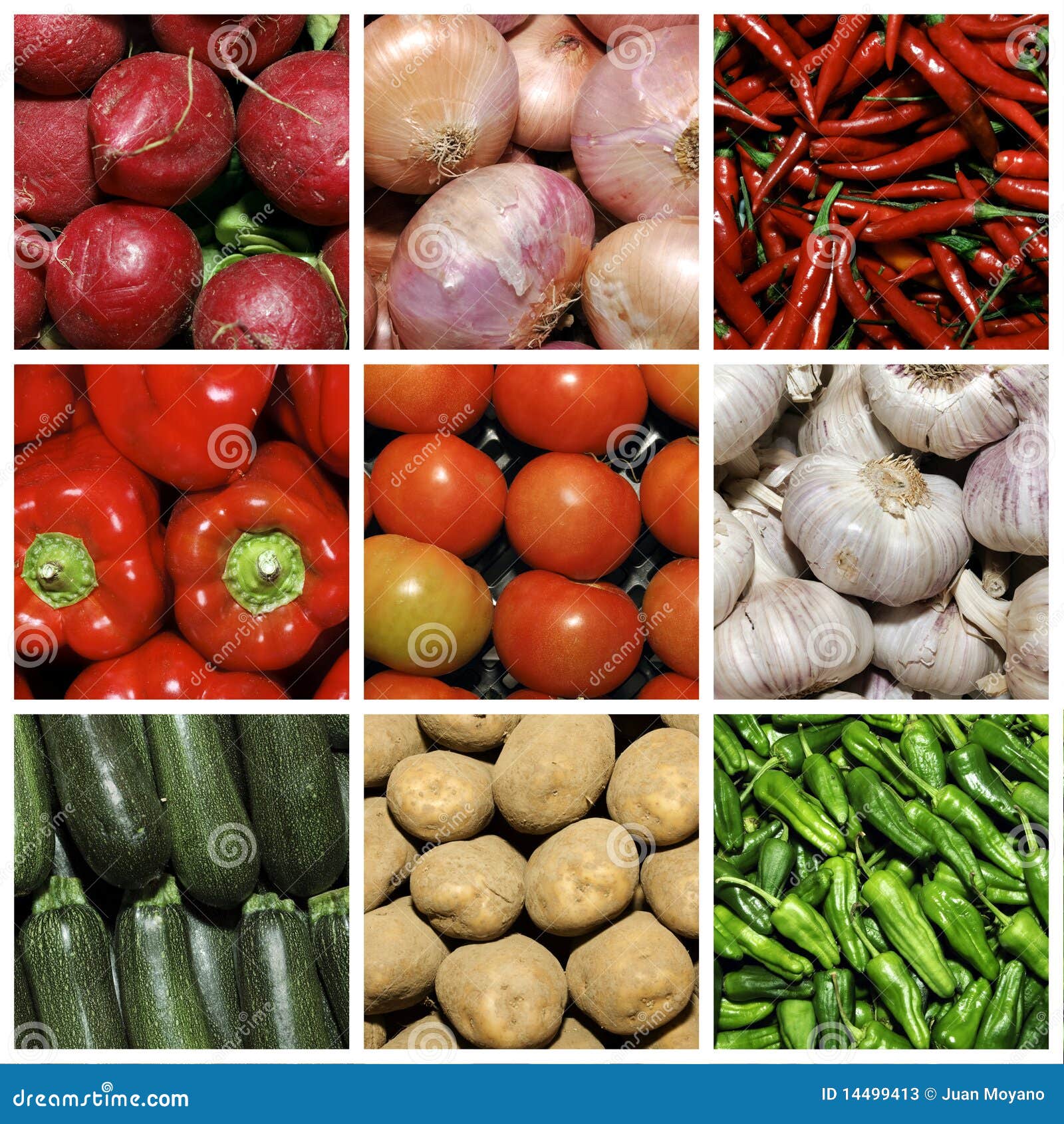 Vegetables collage stock image. Image of gourmet, organic - 14499413