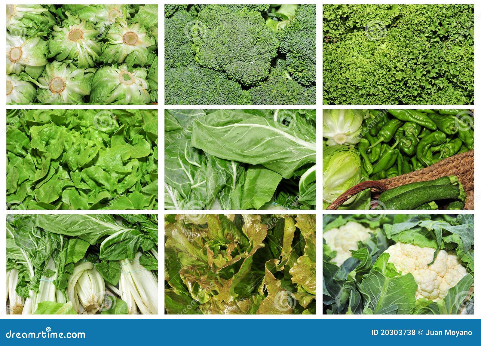 Vegetables collage stock photo. Image of cauliflower - 20303738