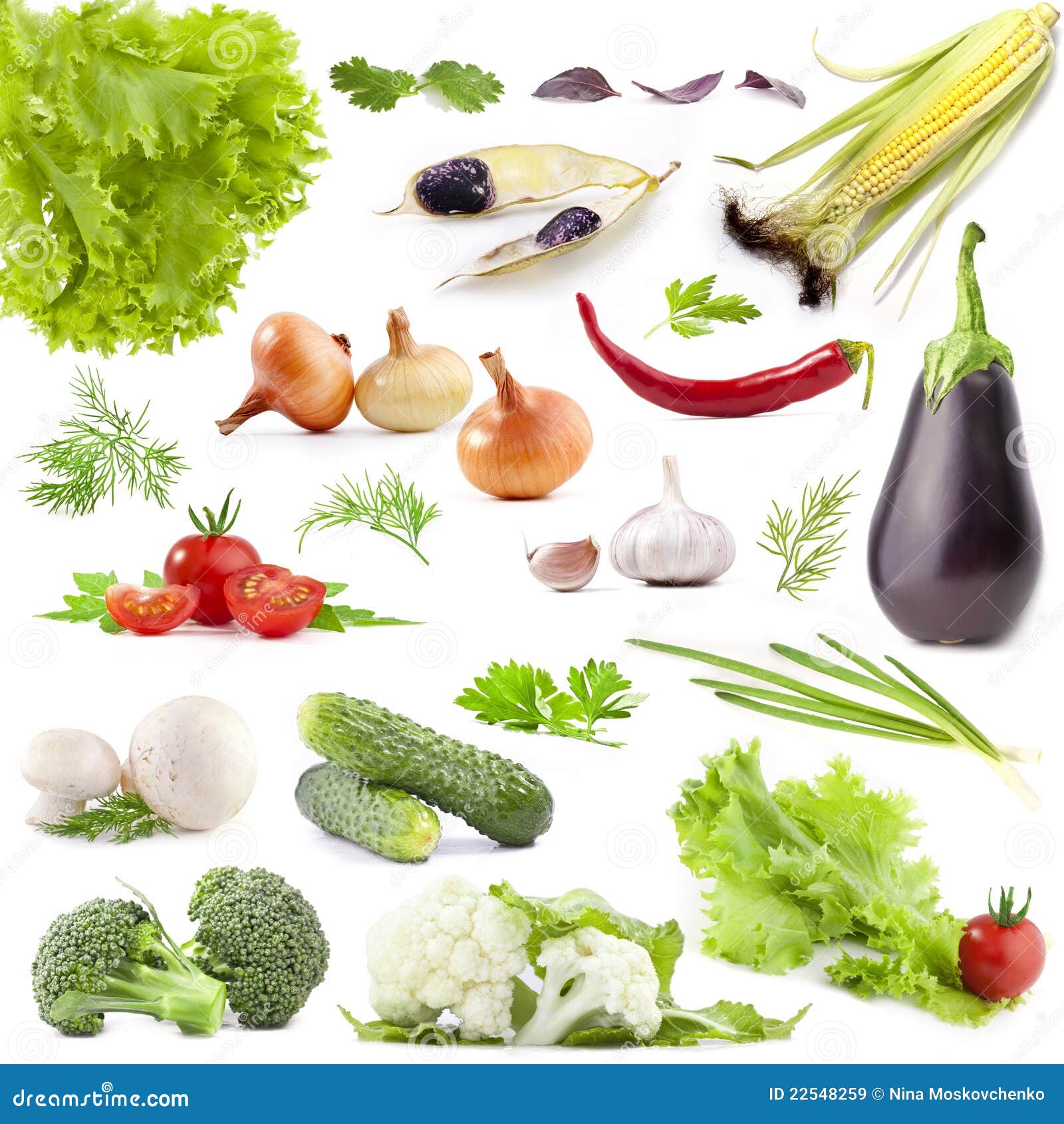 Vegetables collection stock image. Image of brightly - 22548259