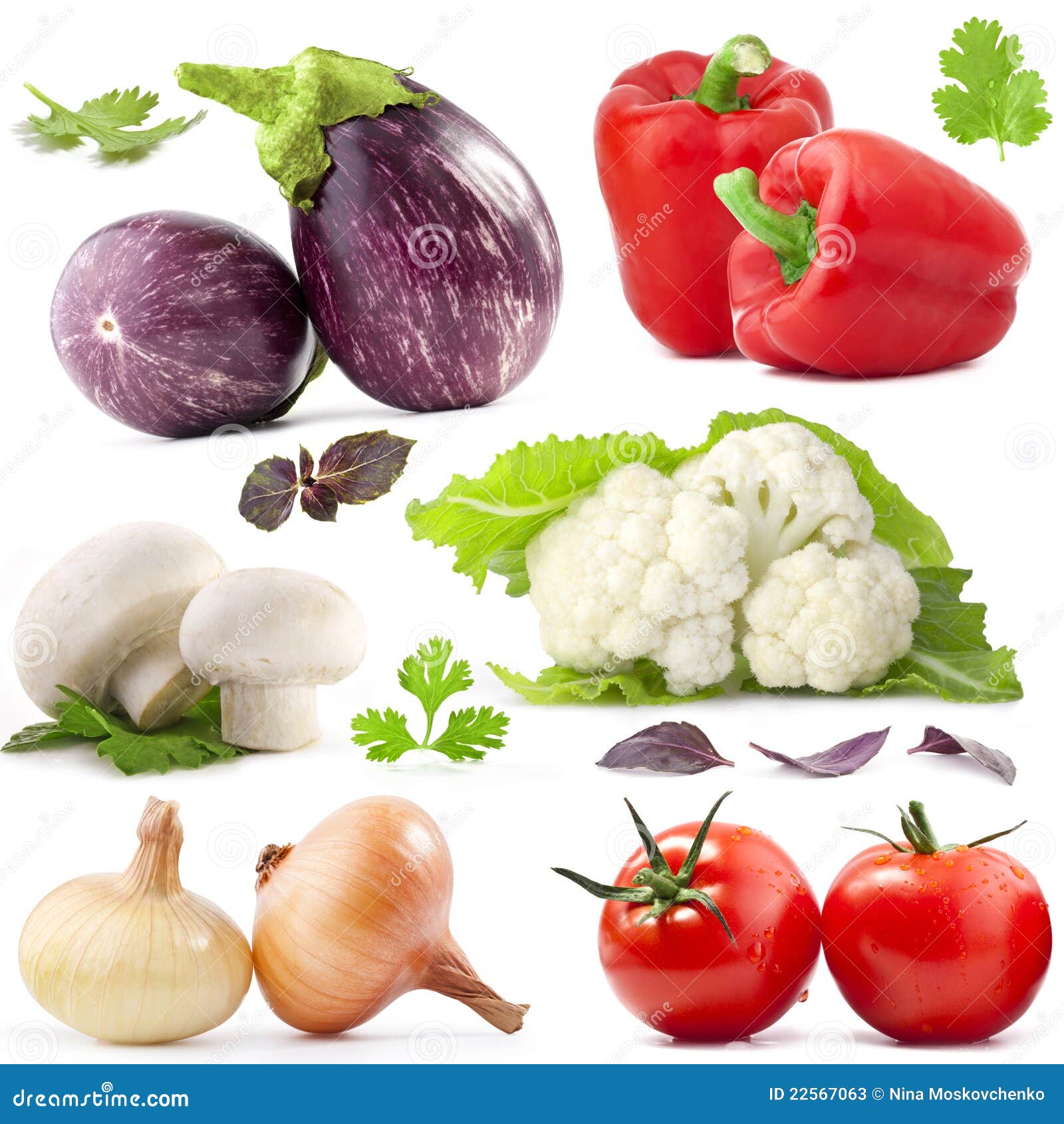 Vegetables collection stock image. Image of dieting, bright - 22567063