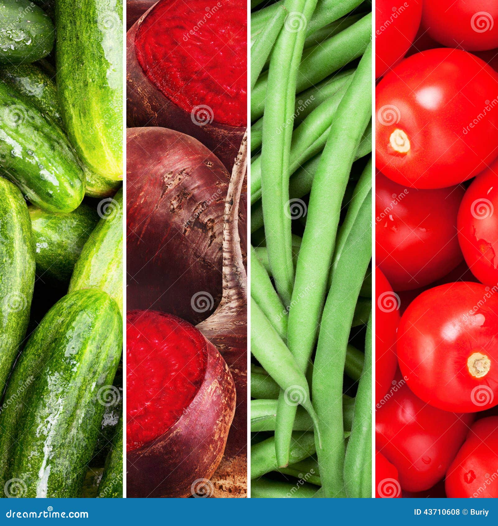 Vegetables stock photo. Image of diet, summer, tomatoes - 43710608