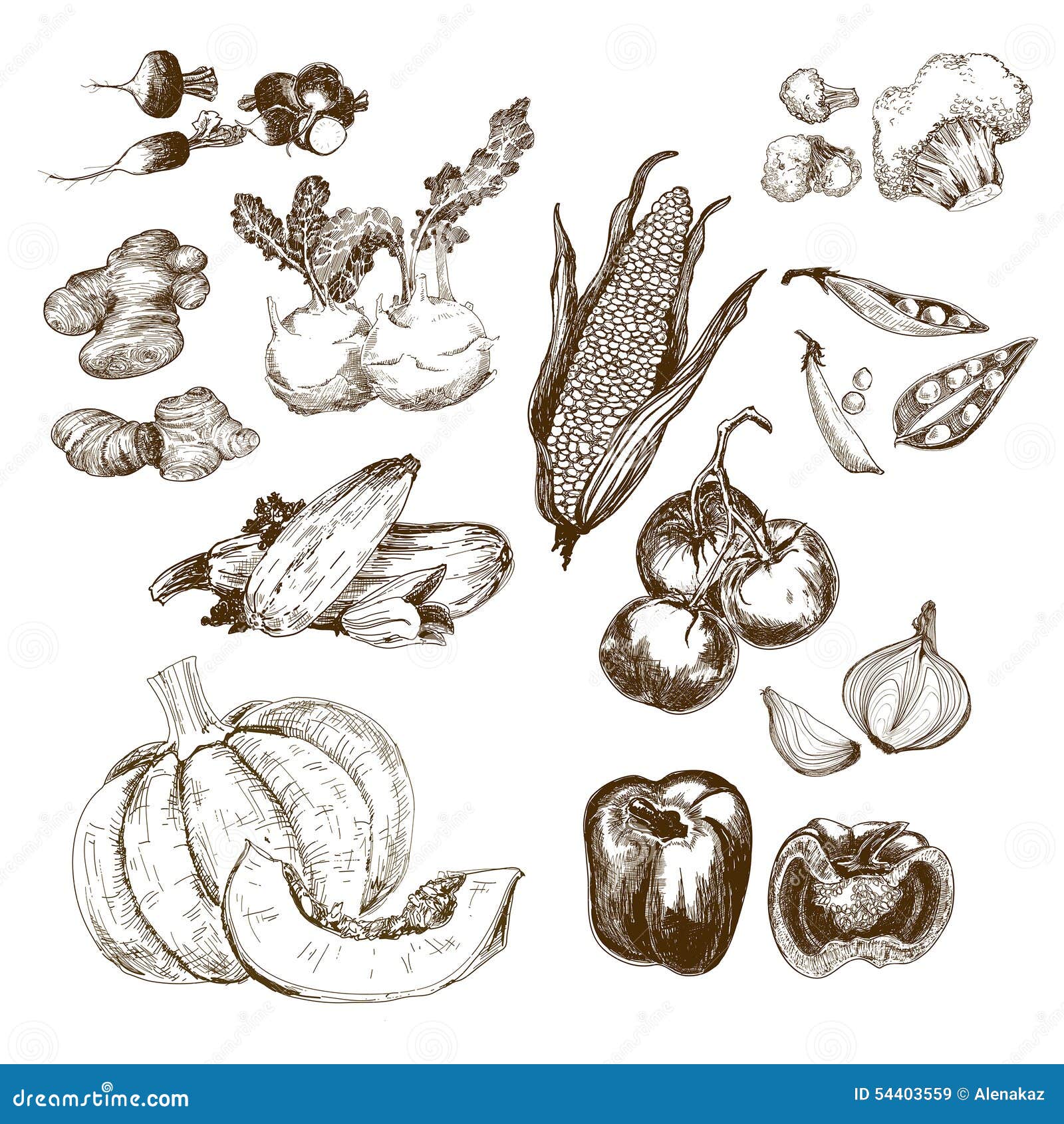 Vegetables collection. stock vector. Illustration of nature - 54403559