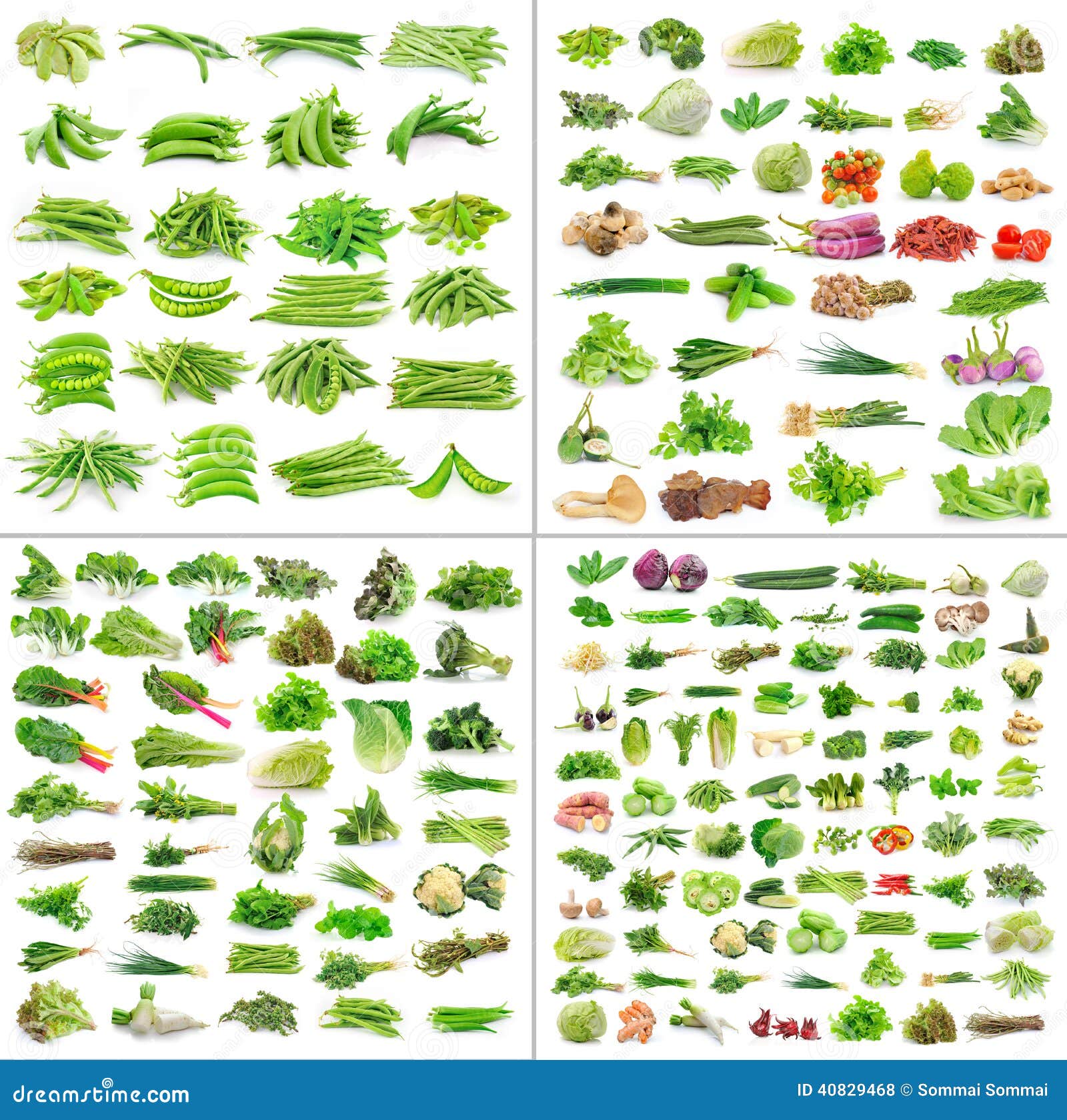 Vegetables Collection on White Background Stock Photo - Image of kale ...