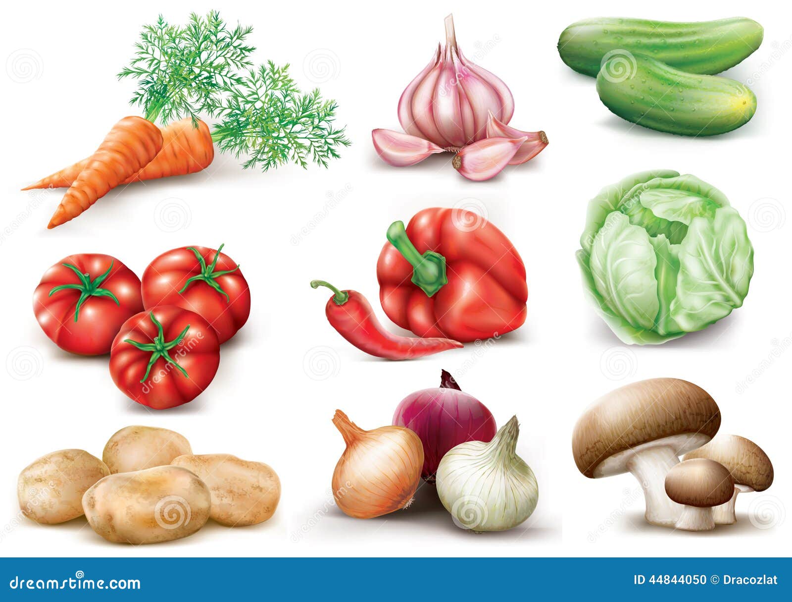 Vegetables collection stock vector. Illustration of tuber - 44844050