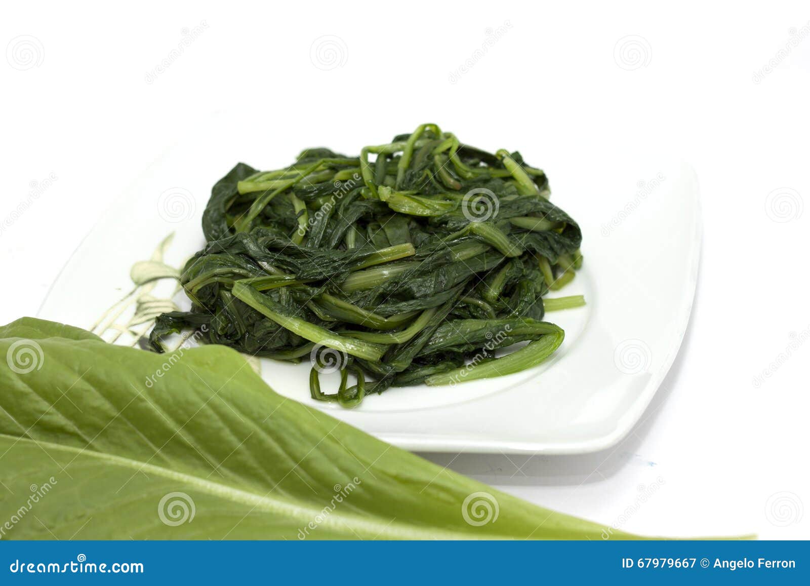 Vegetables Cooked Green Grass Stock Image - Image of herb, grass: 67979667