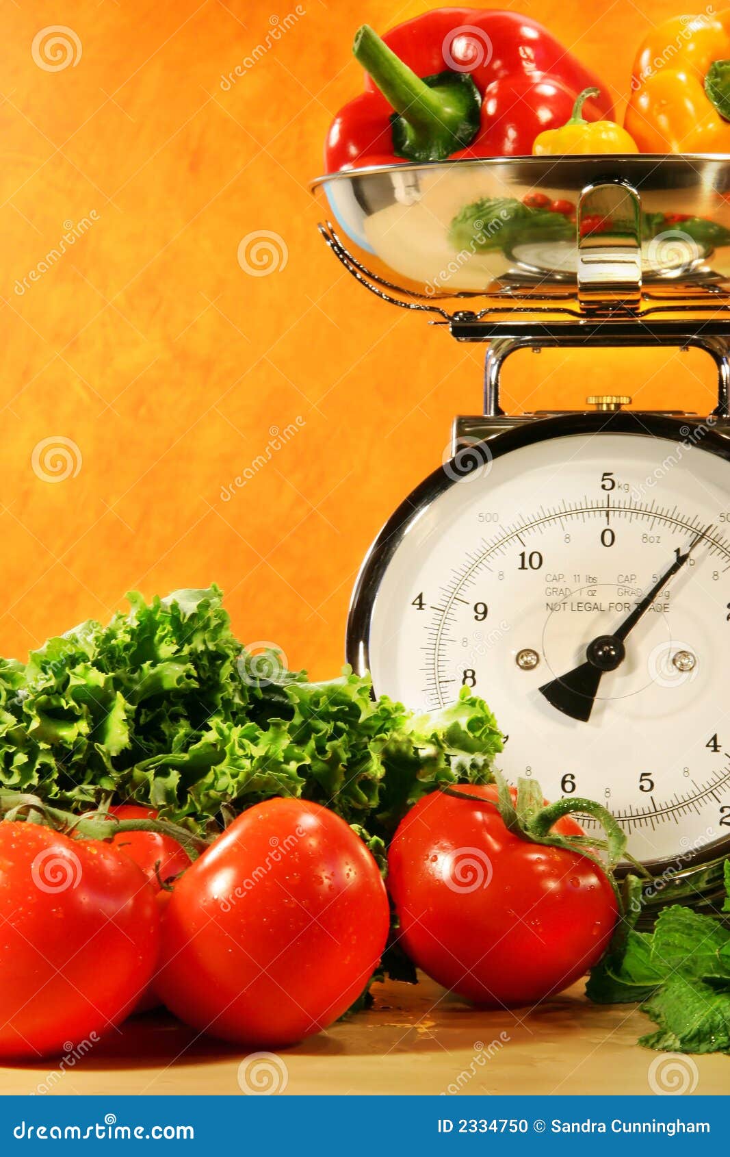 Vegetables on the counter stock photo. Image of tomatoes - 2334750
