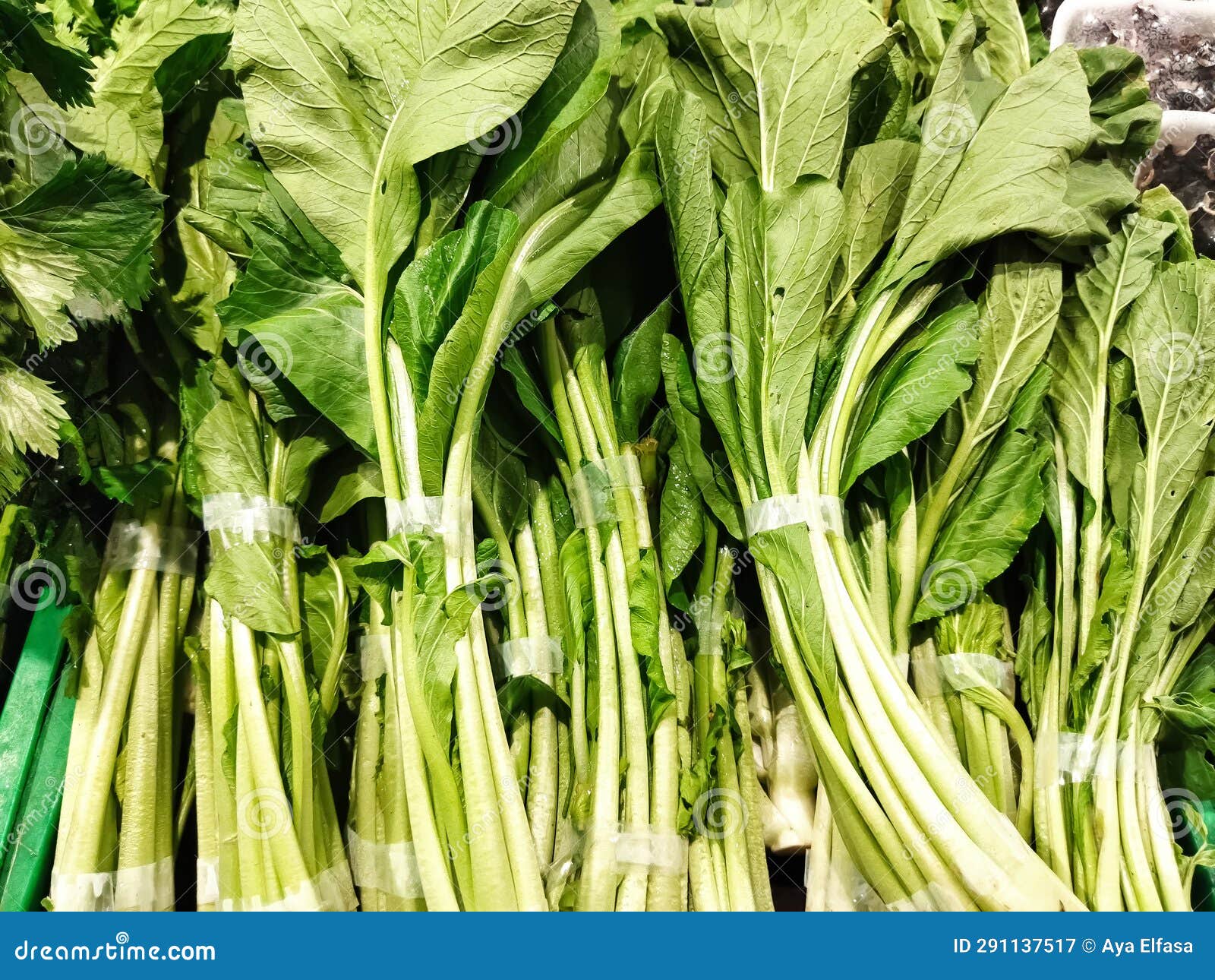 Vegetables Display on Green Rack at a Groceries Store. Stock Image ...