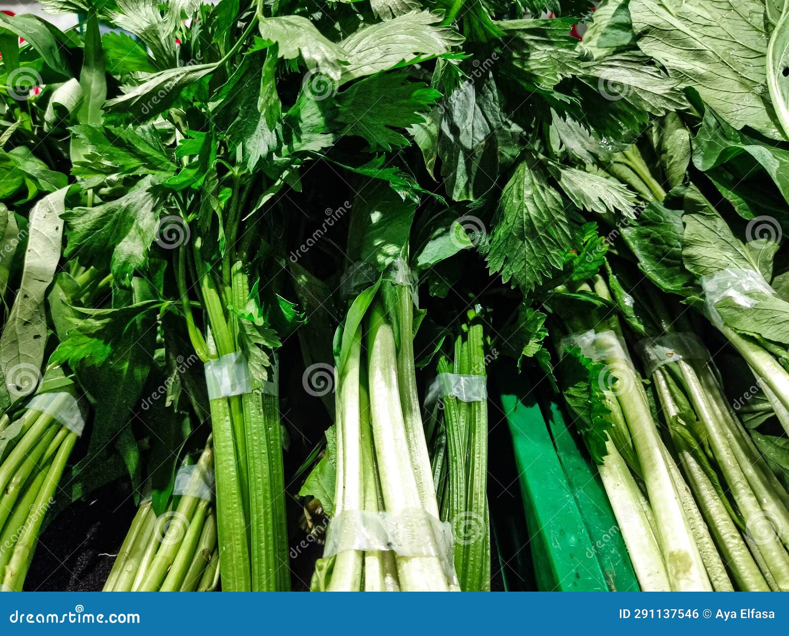 Vegetables Display on Green Rack at a Groceries Store. Stock Photo ...