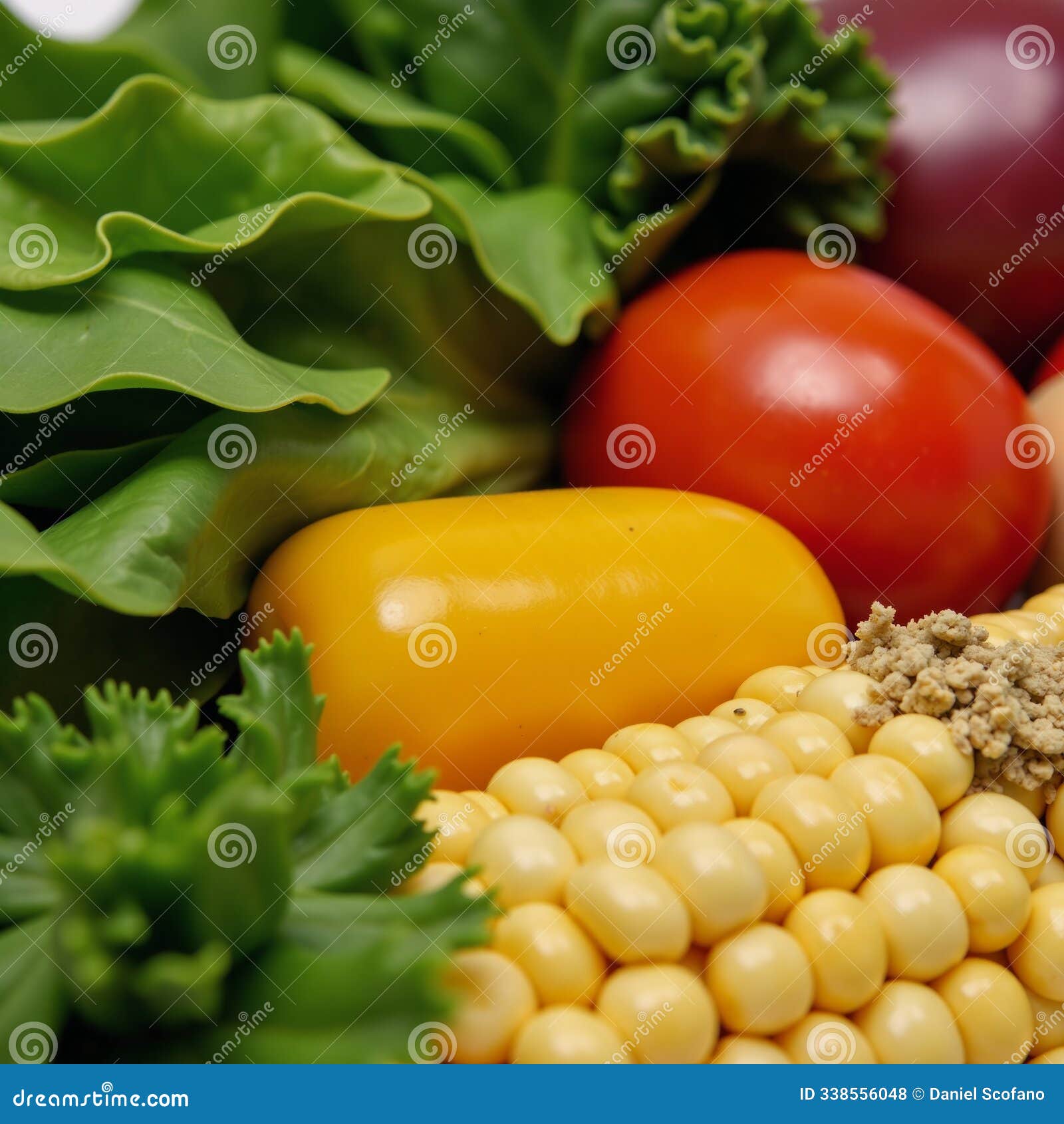 Vegetables Edible Garden Ingredients Stock Illustration - Illustration ...