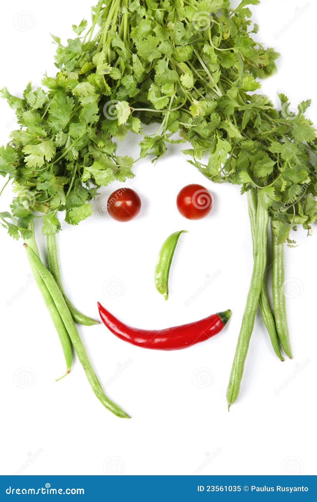 Vegetables face stock image. Image of fruit, conceptual - 23561035