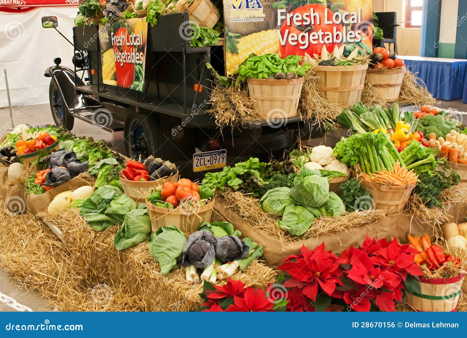 Vegetables at Farm Show editorial photo. Image of market - 28670156