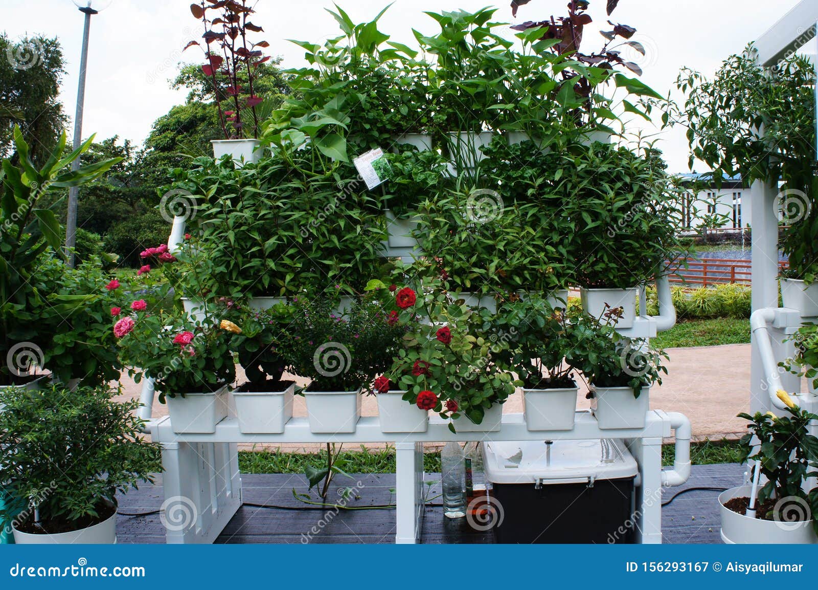 Vegetables and Flowers in the Plant Nursery Planted Using a Multi ...