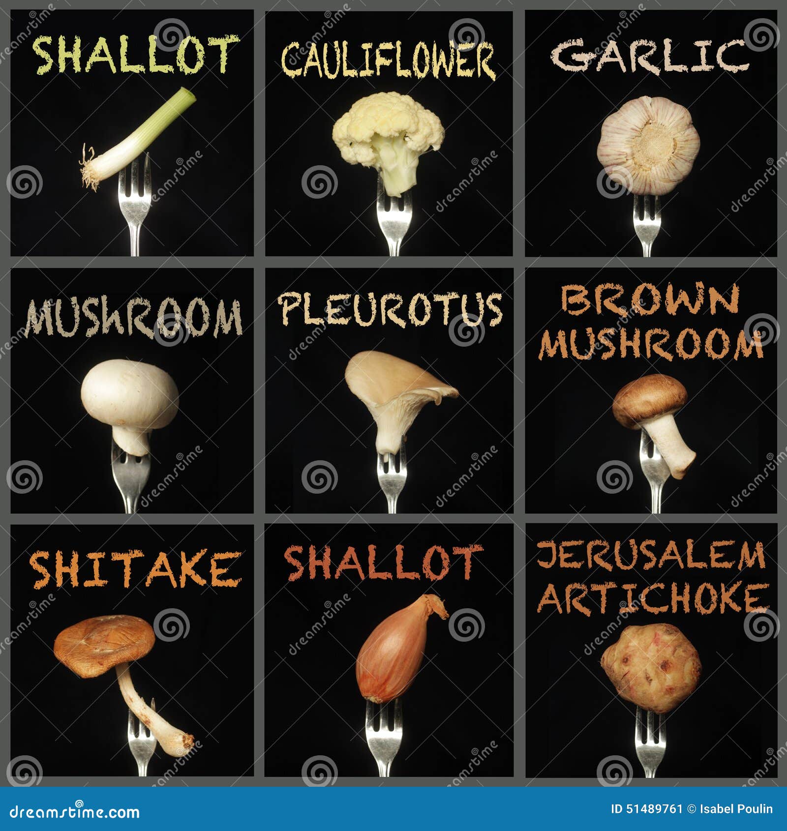 Vegetables on fork stock image. Image of artichoke, collection - 51489761