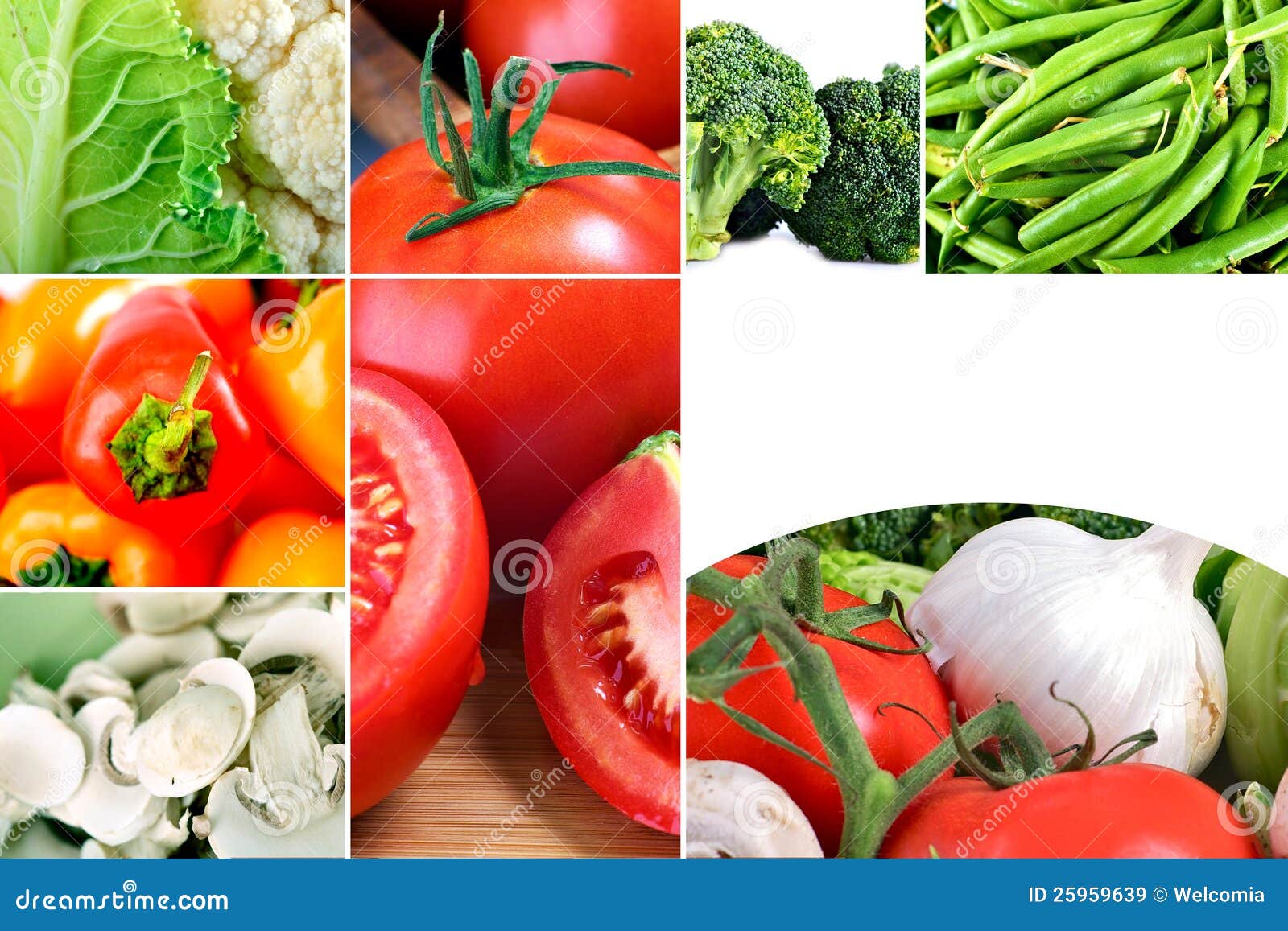 Vegetables Freshness stock image. Image of fruits, mushrooms - 25959639