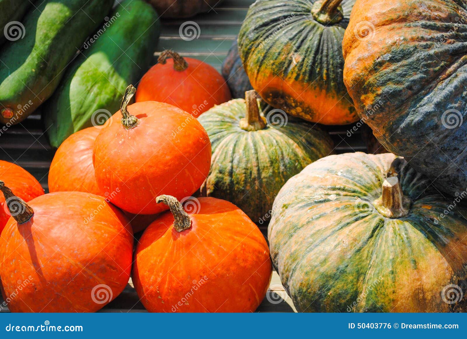 Vegetables from the Garden in the Countryside. Stock Photo - Image of ...