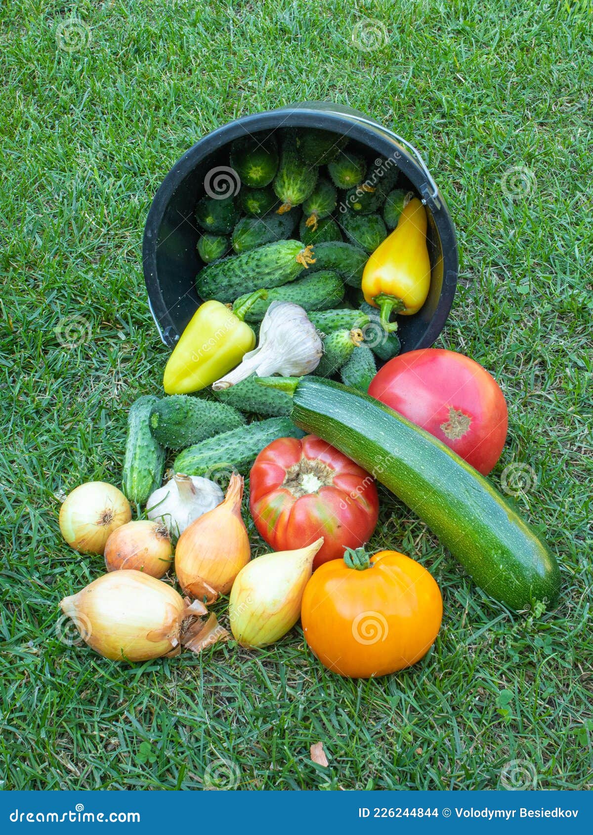 Vegetables on the grass stock photo. Image of edible - 226244844
