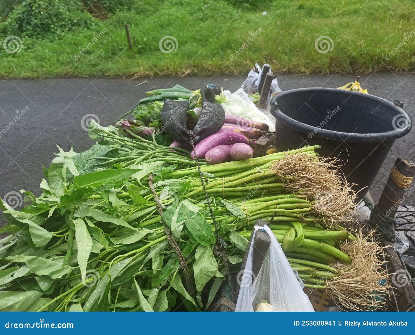 Vegetables on the Grass Field Stock Image - Image of nature, park ...