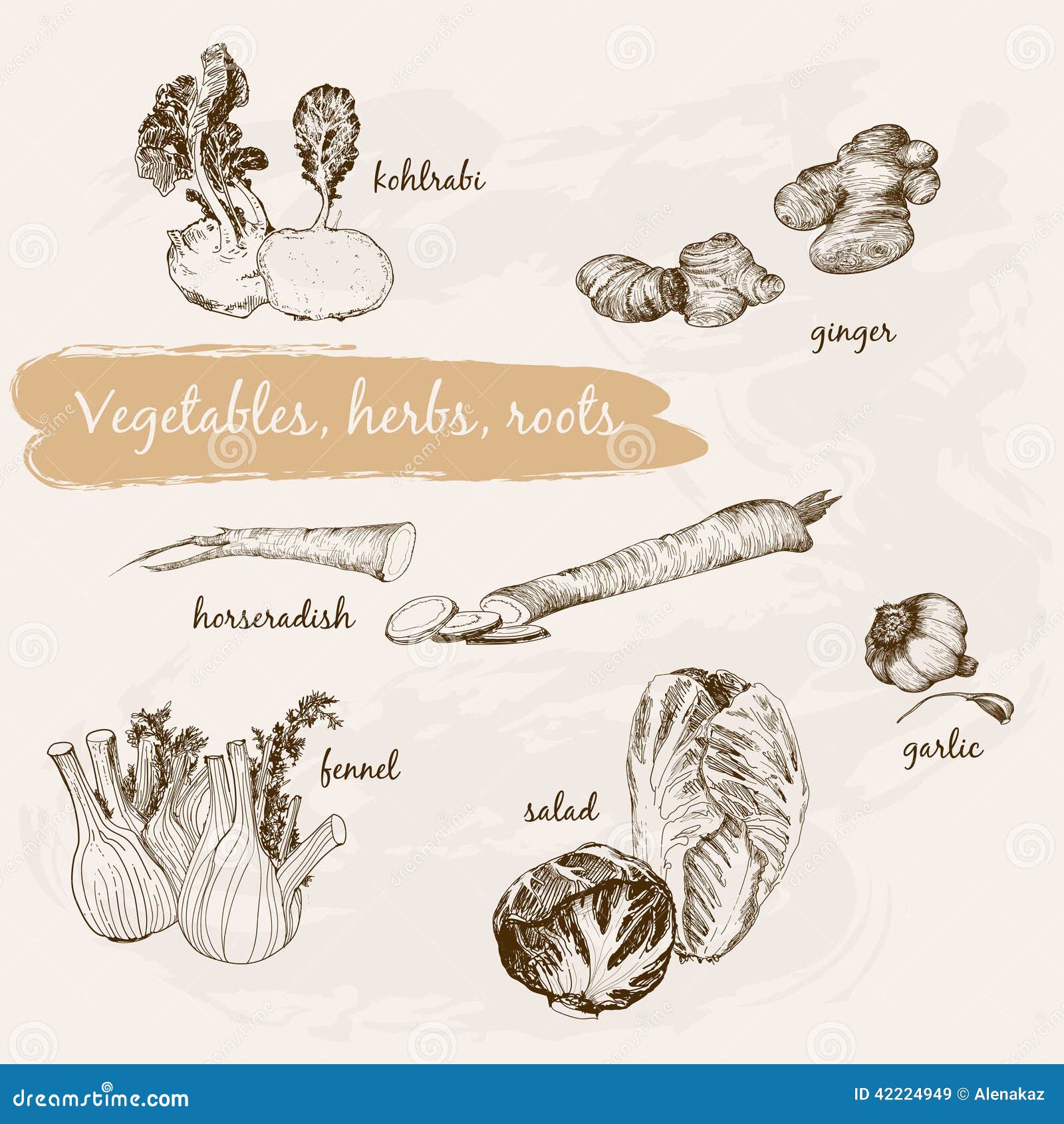 Vegetables, herb and roots stock illustration. Illustration of doodle ...