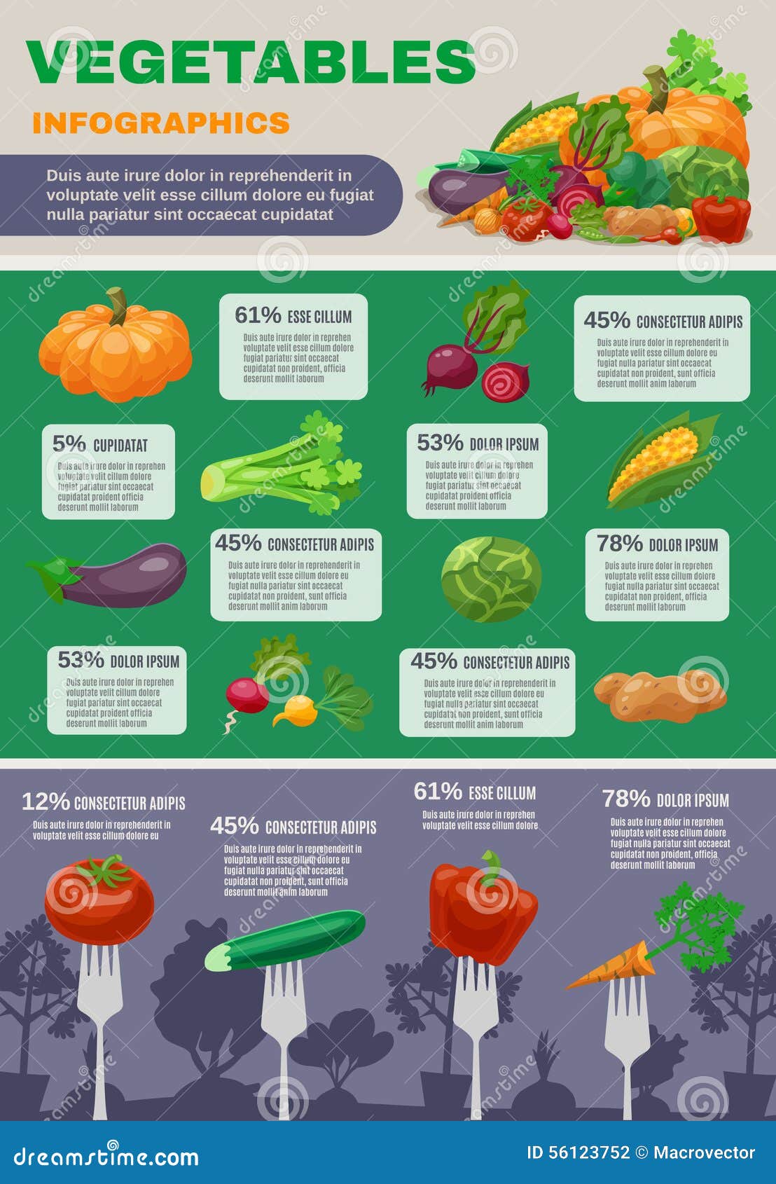 Vegetables Infographic Set stock vector. Illustration of business ...