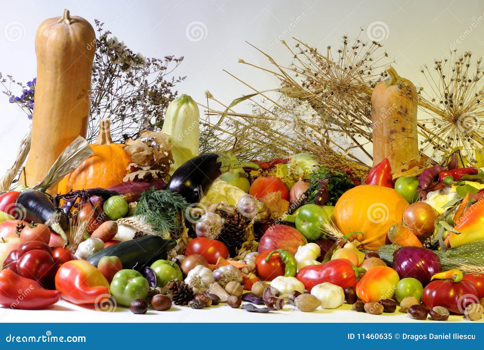 Vegetables isolated stock image. Image of closeup, herbs - 11460635