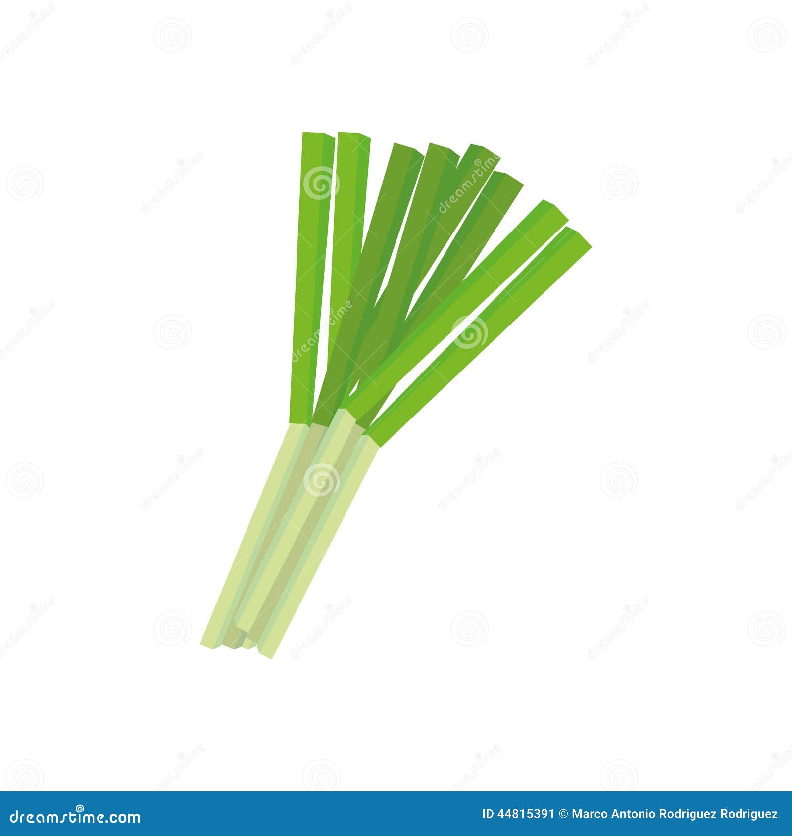 Isolated Scallion Cartoon Kawaii Vector Illustration | CartoonDealer ...