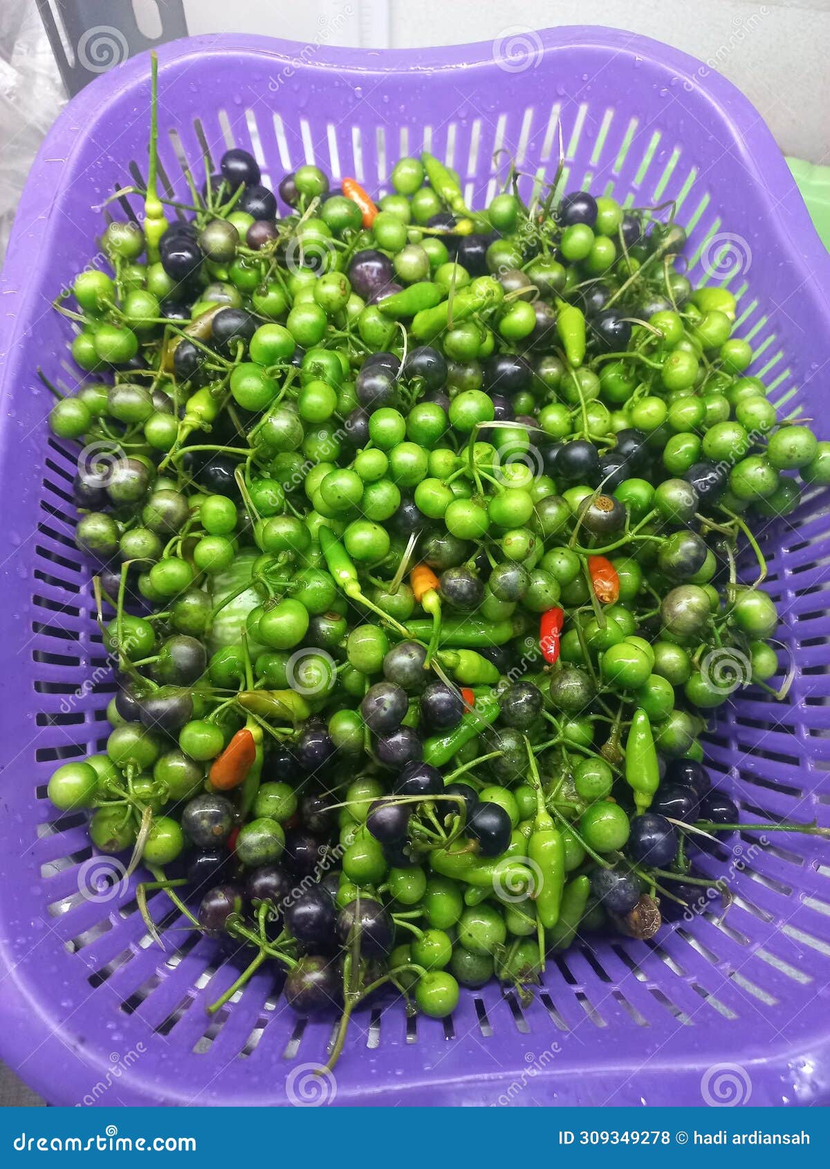 Vegetables Lenca Simple Indonesian Food Menu Stock Photo - Image of ...