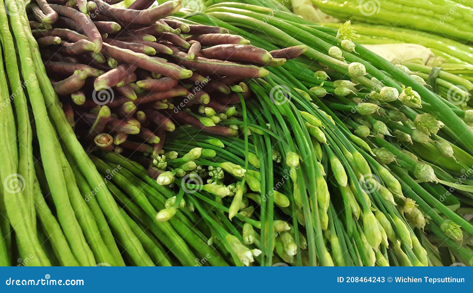 Vegetables Long Beans Chives Bitter Gourd Stock Image - Image of beans ...