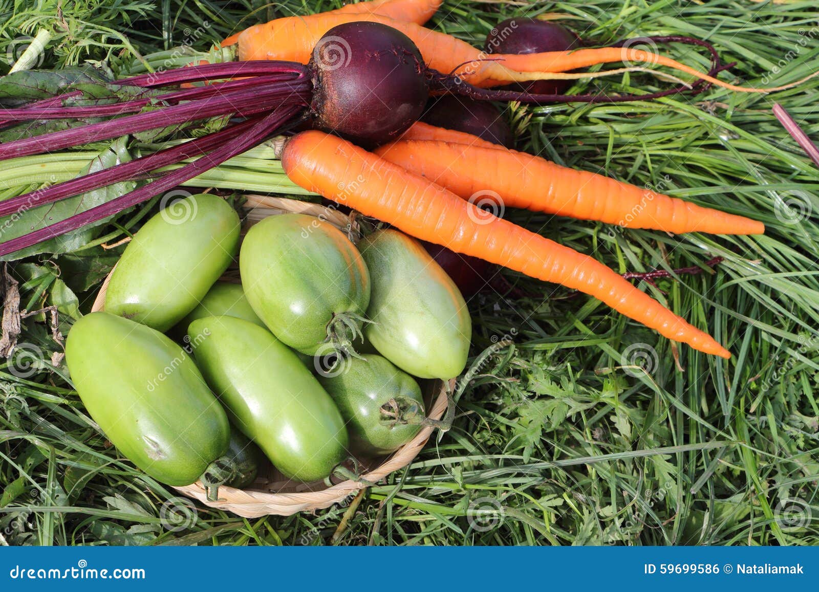 The Vegetables Lying on a Grass Stock Photo - Image of summer, food ...
