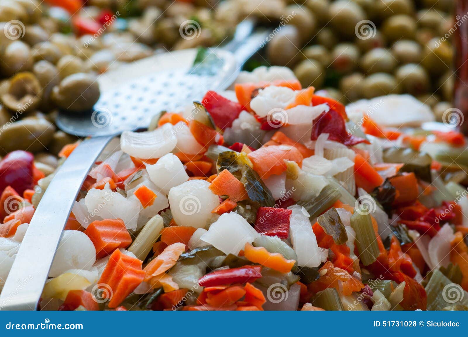 Vegetables mixture stock photo. Image of characteristic - 51731028