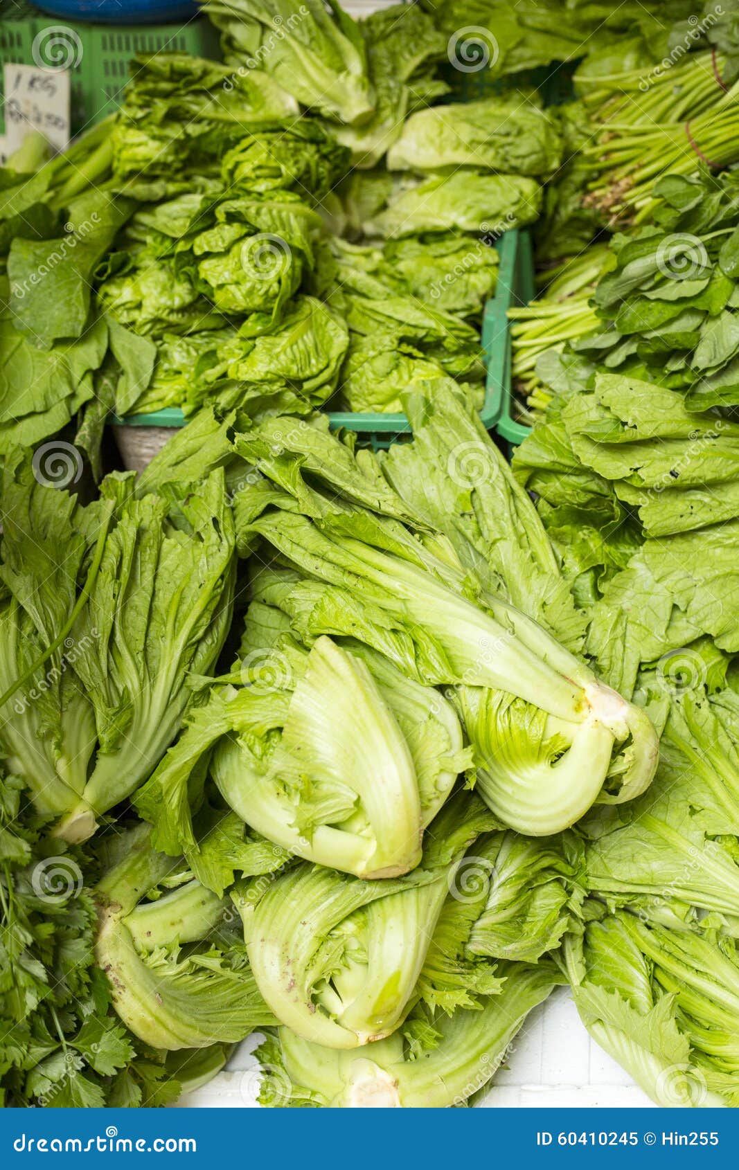 Vegetables stock image. Image of summer, healthy, agriculture - 60410245