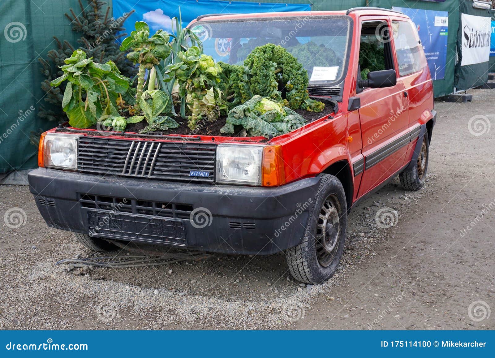 Vegetables planted in car editorial image. Image of environmental ...