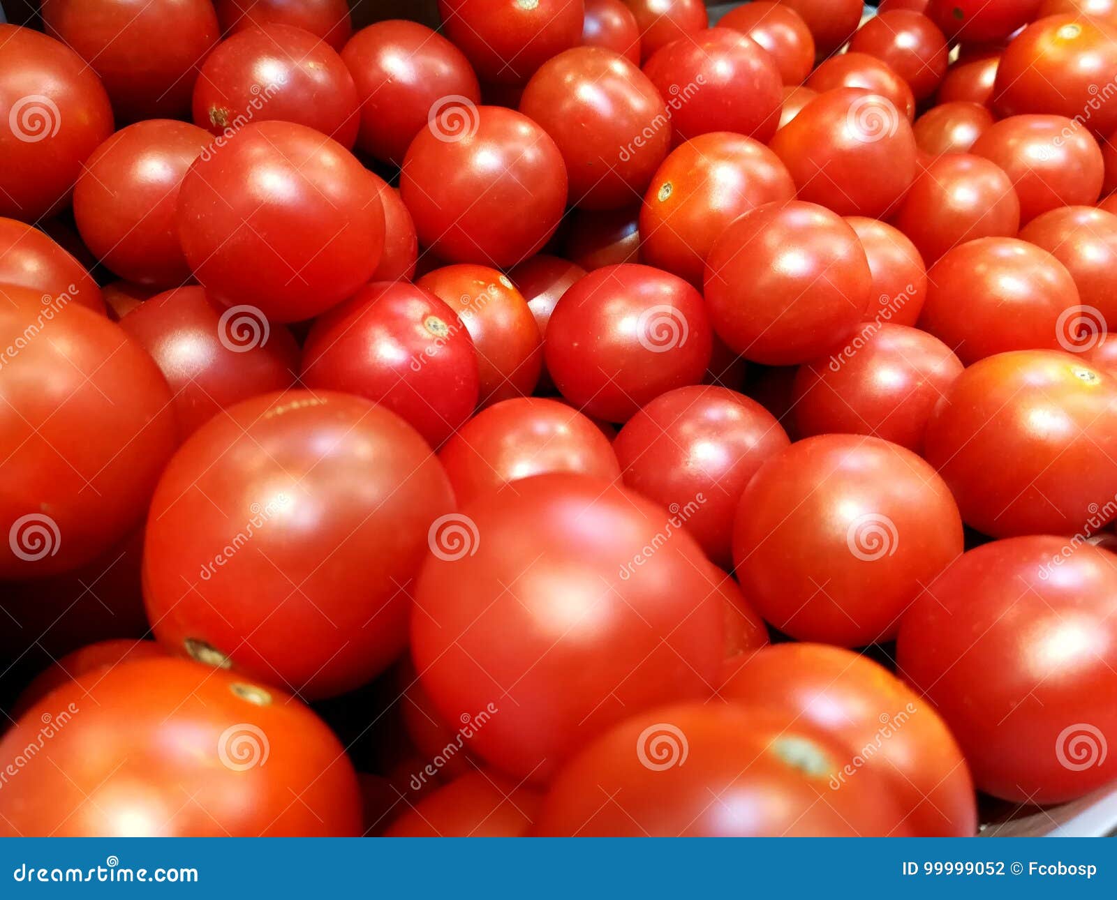 Red cherry Tomatoes stock photo. Image of agro, cherry - 99999052