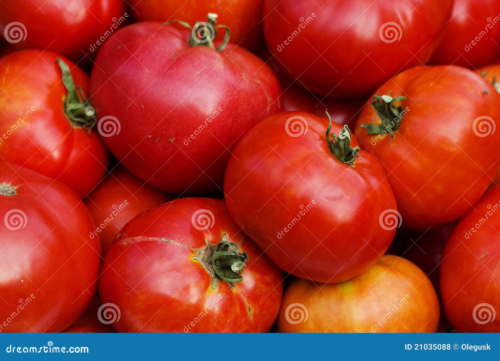 Vegetables ripe tomatoes stock photo. Image of flora - 21035088
