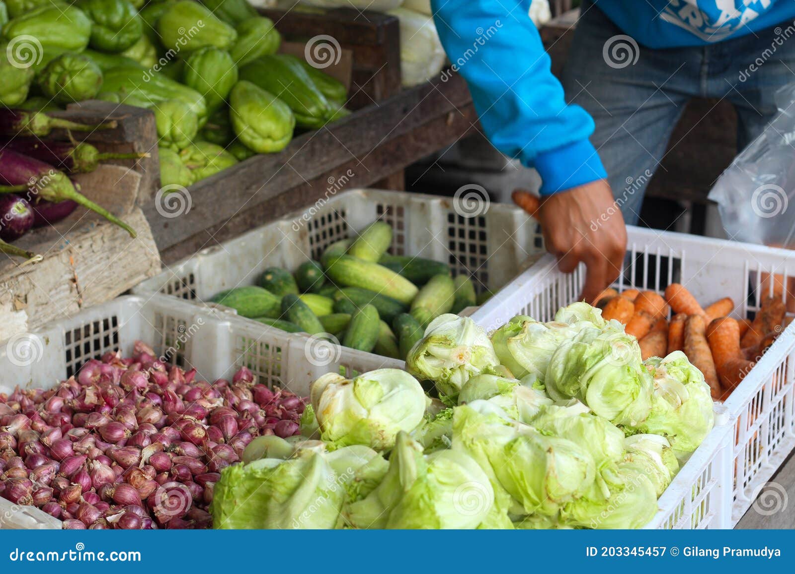 Vegetables in this Season on the Market Stock Image - Image of garbage ...