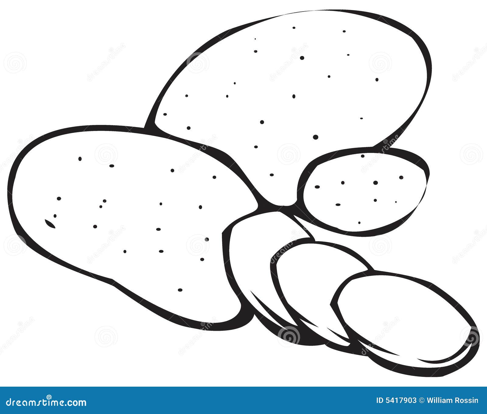 Vegetables Series: Potatoes Stock Vector - Illustration of potatoes ...